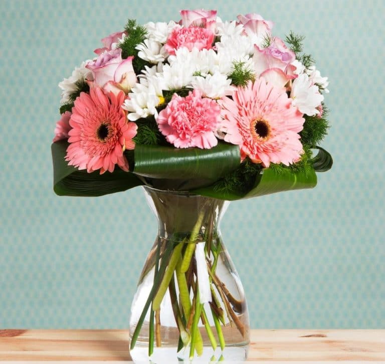 ¿Conoces el SIGNIFICADO DE LOS CLAVELES ROSAS? Descúbrelo