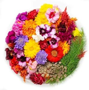 FLORES COMESTIBLES MÁS COMUNES PARA TUS PLATOS AQUÍ